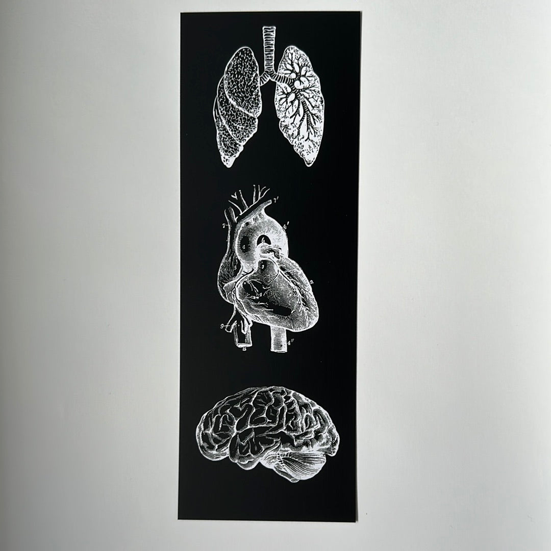 Bookmark - Anatomy Design – Planrdesigns